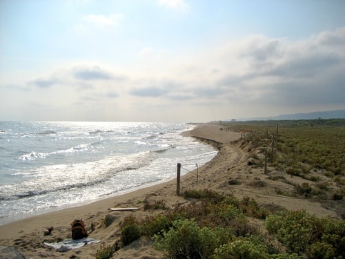 La Platja del Remolar, a paradise in Barcelona | Guide to Barcelona