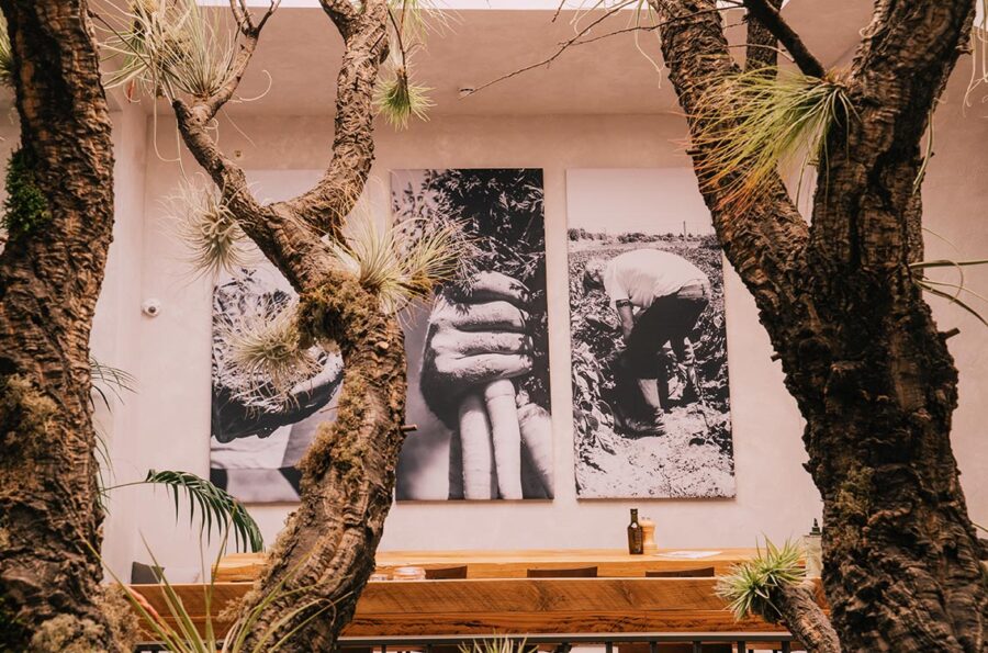 Honest Greens: Healthy and delicious food