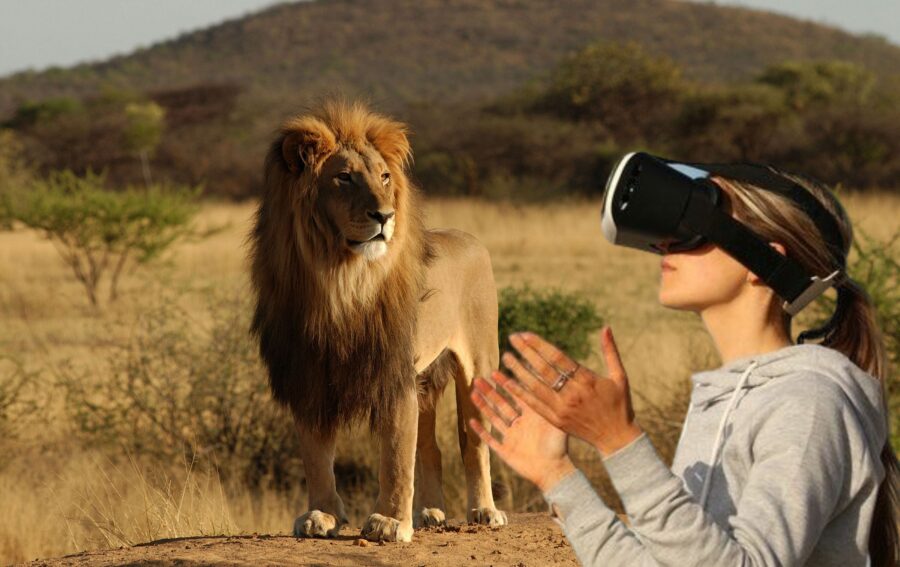 Metapark" Barcelona, Europe's first augmented reality park, to open in ...